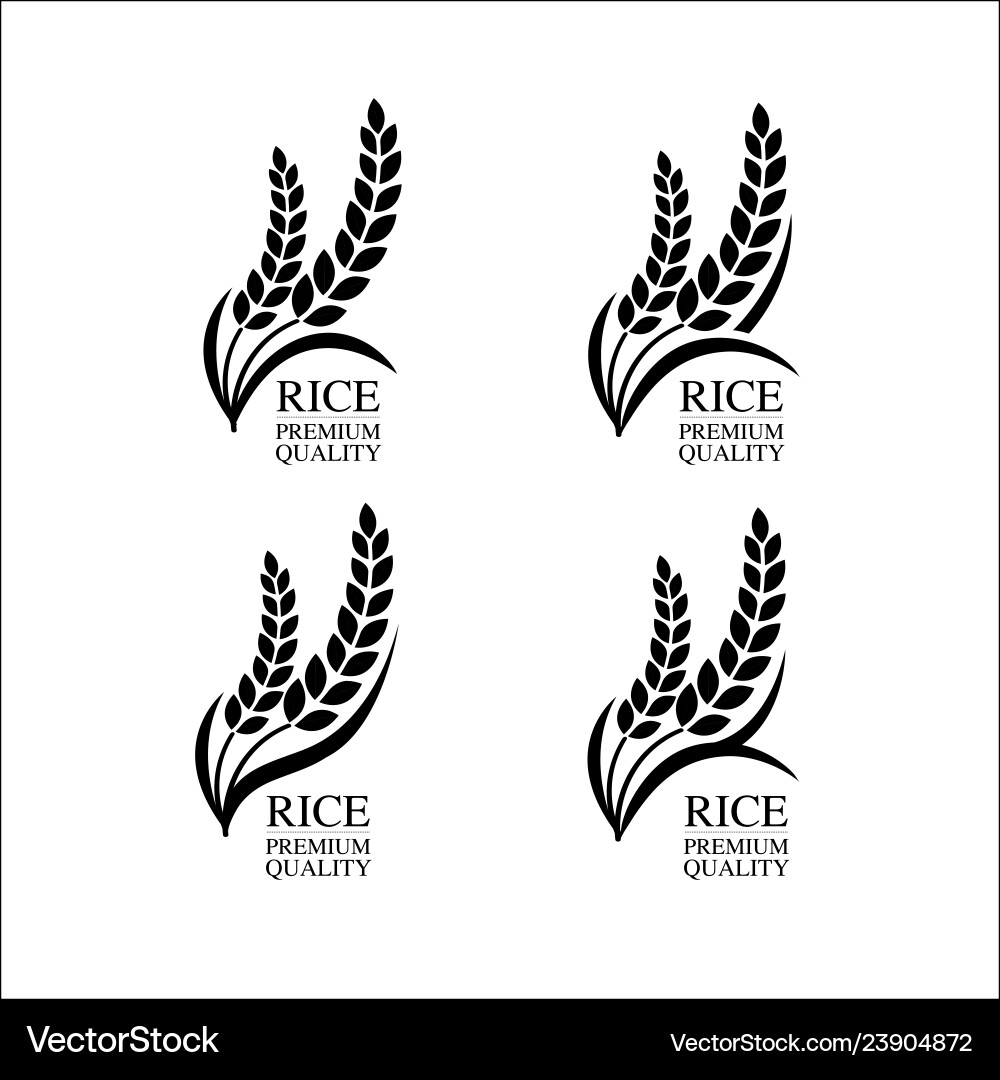 Premium rice great quality design concept Vector Image