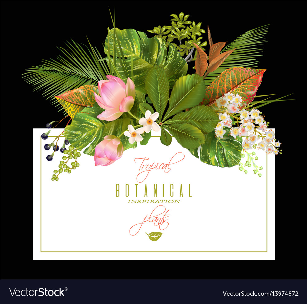 Tropical plants banner Royalty Free Vector Image