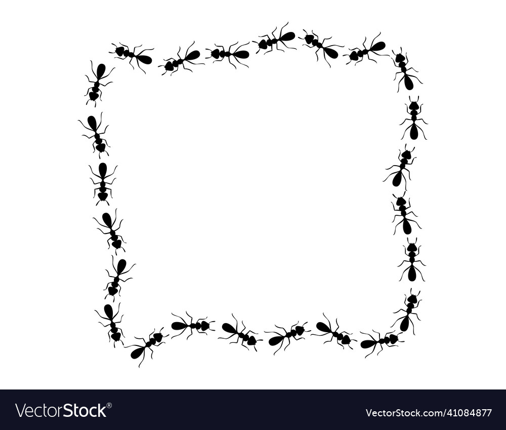 Black ants square border forming rectangular Vector Image
