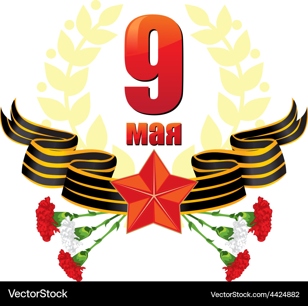 9 mai carnations Royalty Free Vector Image - VectorStock