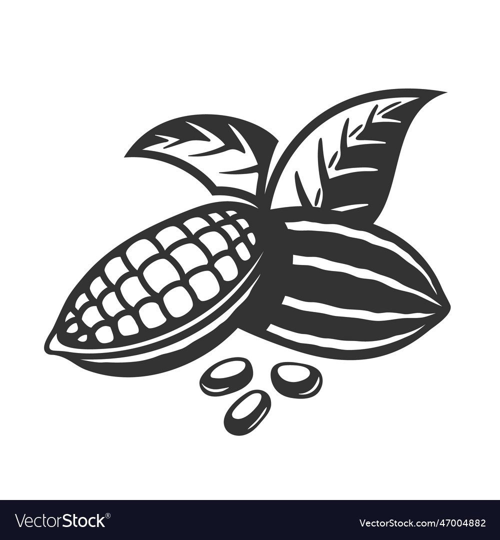 Cocoa Pod Royalty Free Vector Image Vectorstock