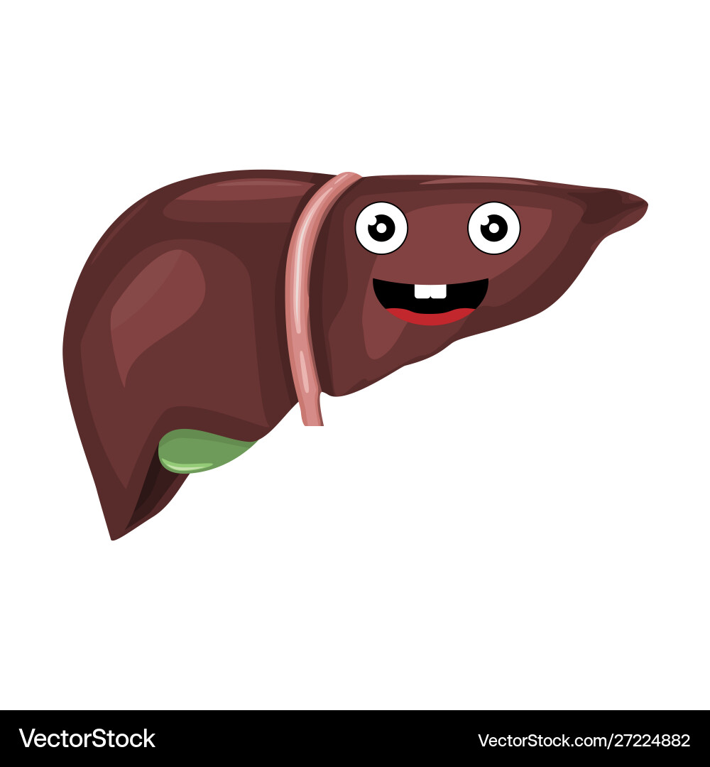 Cute smiling liver emoji flat and solid color Vector Image