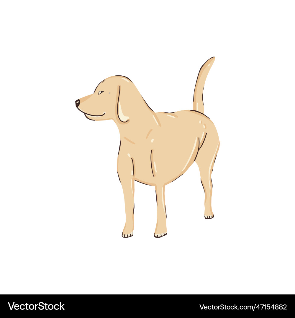 Dog pet hand drawn clip art Royalty Free Vector Image