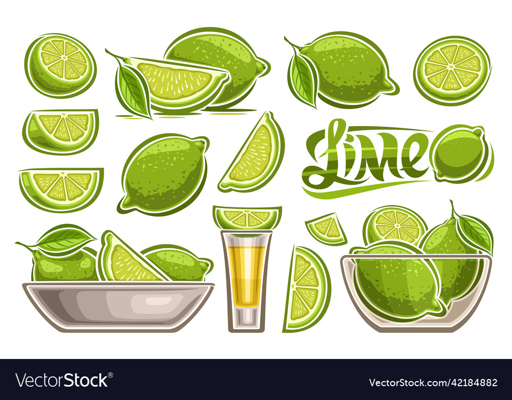 Lime set Royalty Free Vector Image - VectorStock