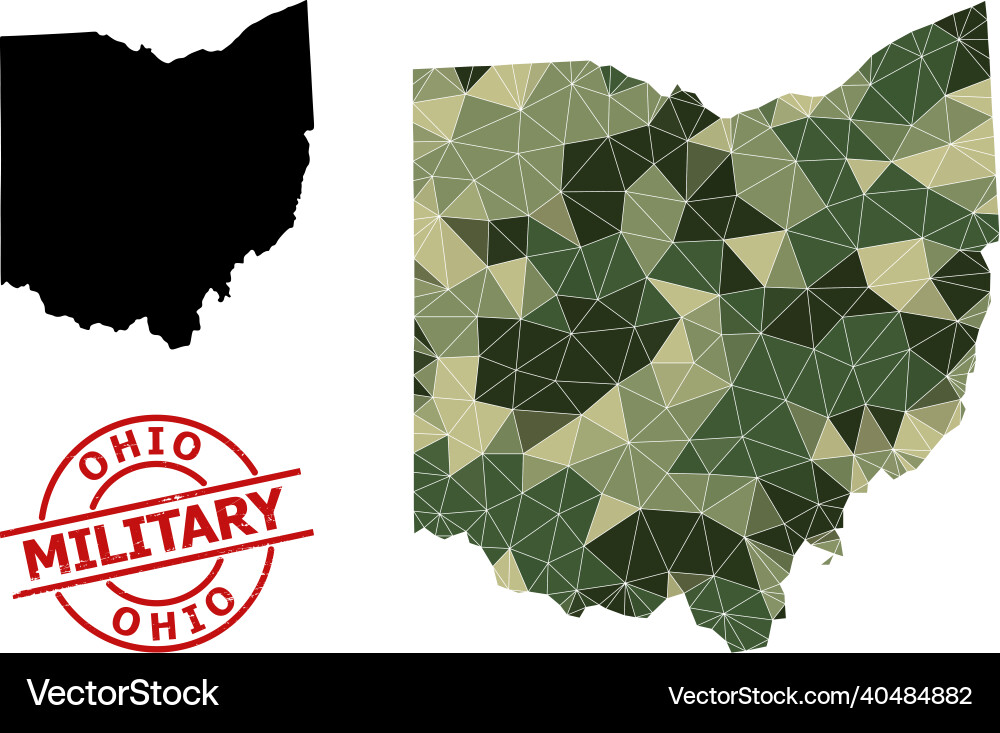 Lowpoly mosaic map of ohio state and scratched Vector Image
