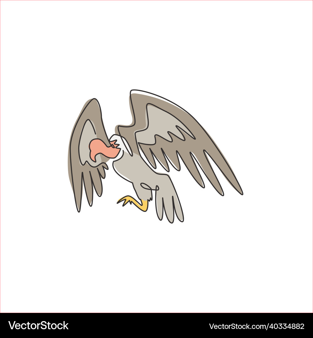 Flying Vulture Drawing