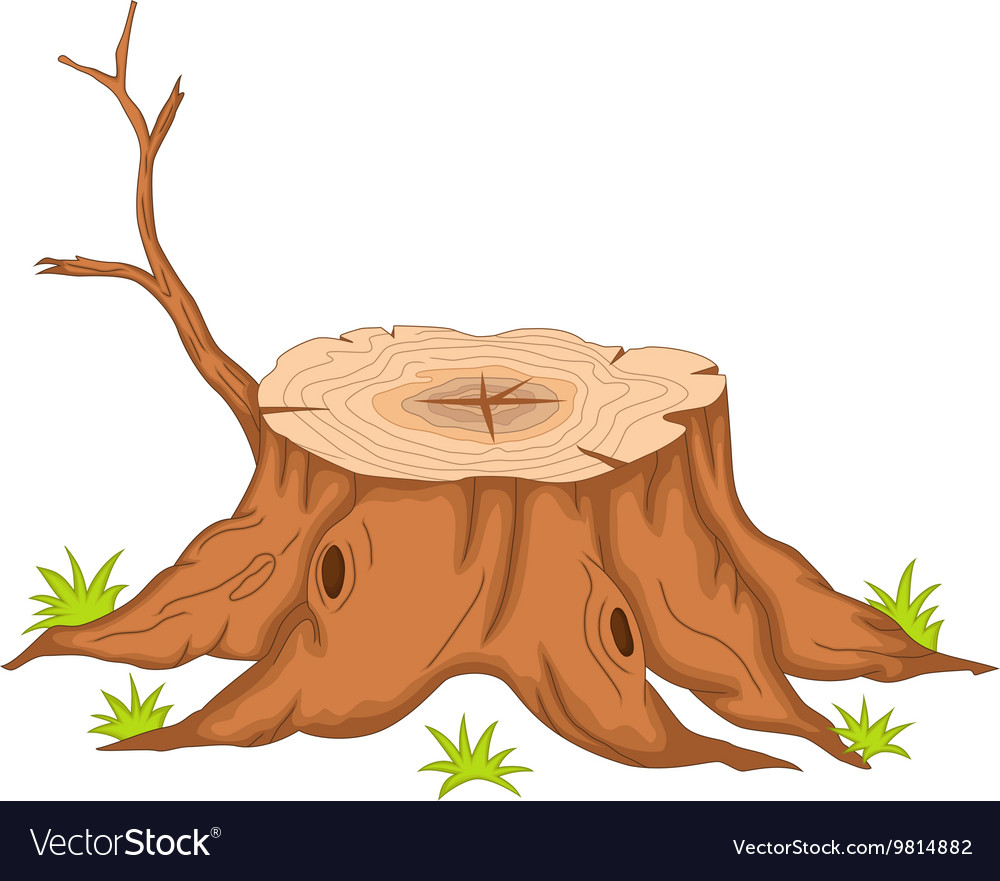 Root tree cartoon Royalty Free Vector Image - VectorStock