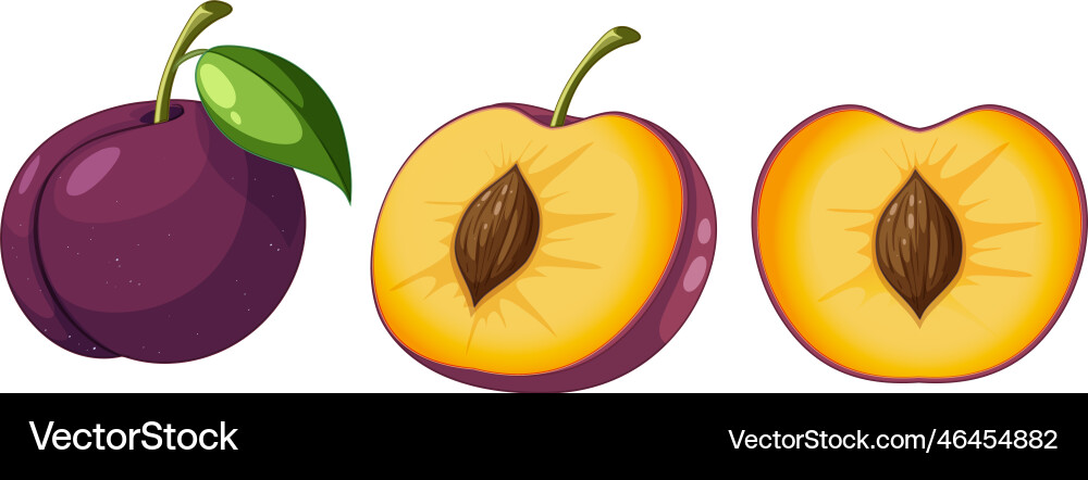 Set of plum fruit cartoon Royalty Free Vector Image
