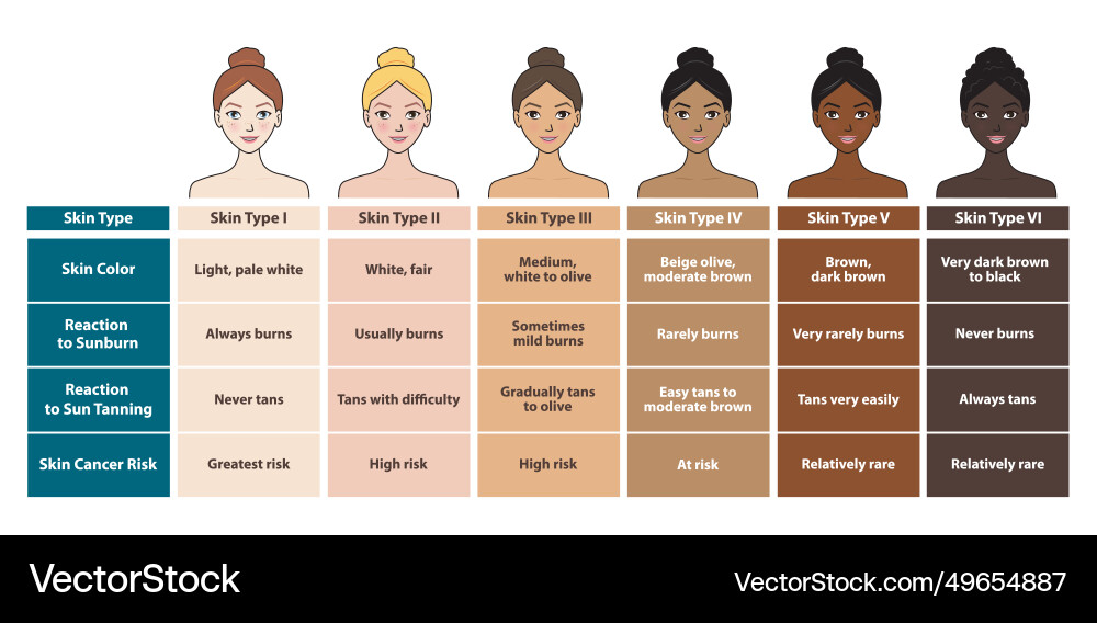 Infographic of skin types Royalty Free Vector Image