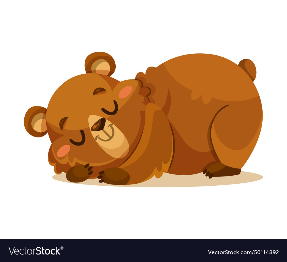Little bear cub with cute snout sleeping Vector Image