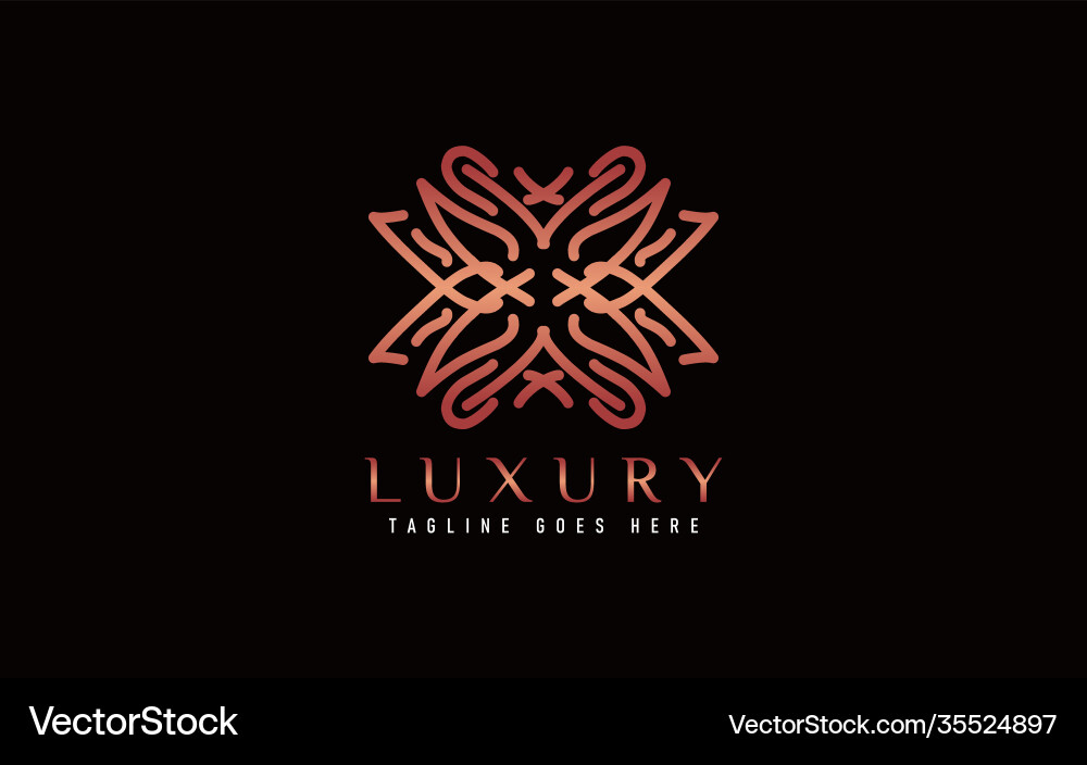 Luxury logo design elegant symbol with geometric Vector Image