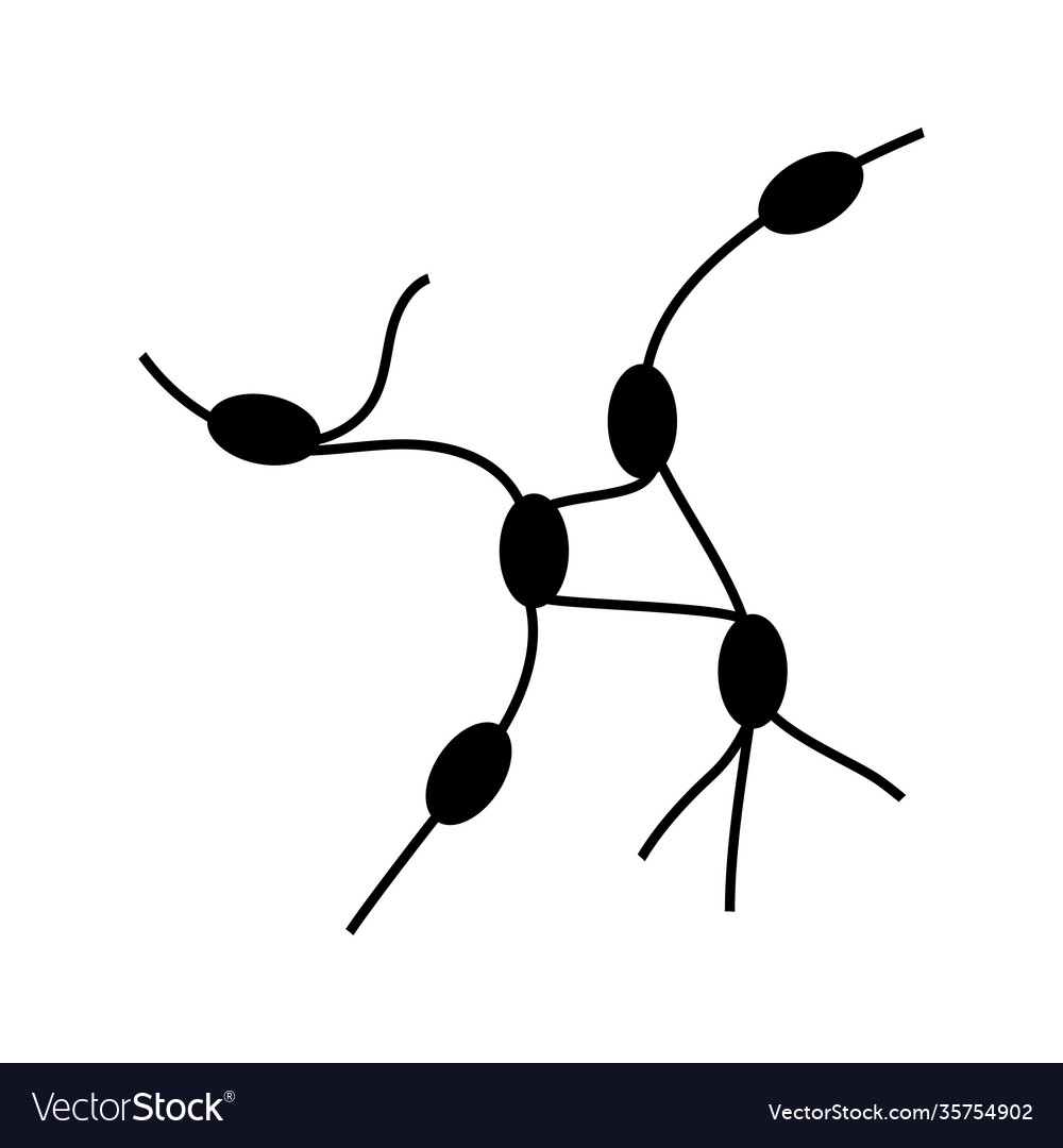 Lymph nodes concept Royalty Free Vector Image - VectorStock