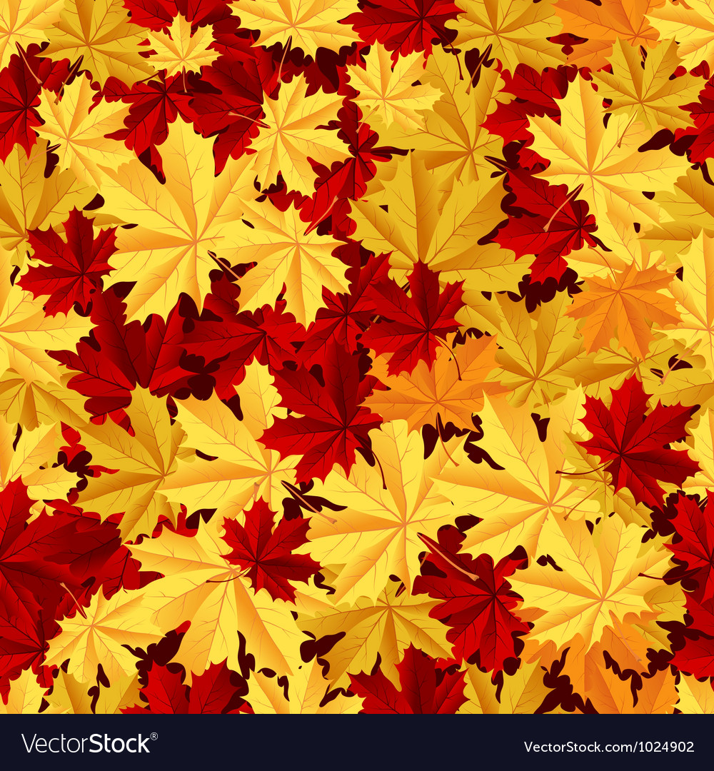 Maple leafs seamless pattern Royalty Free Vector Image