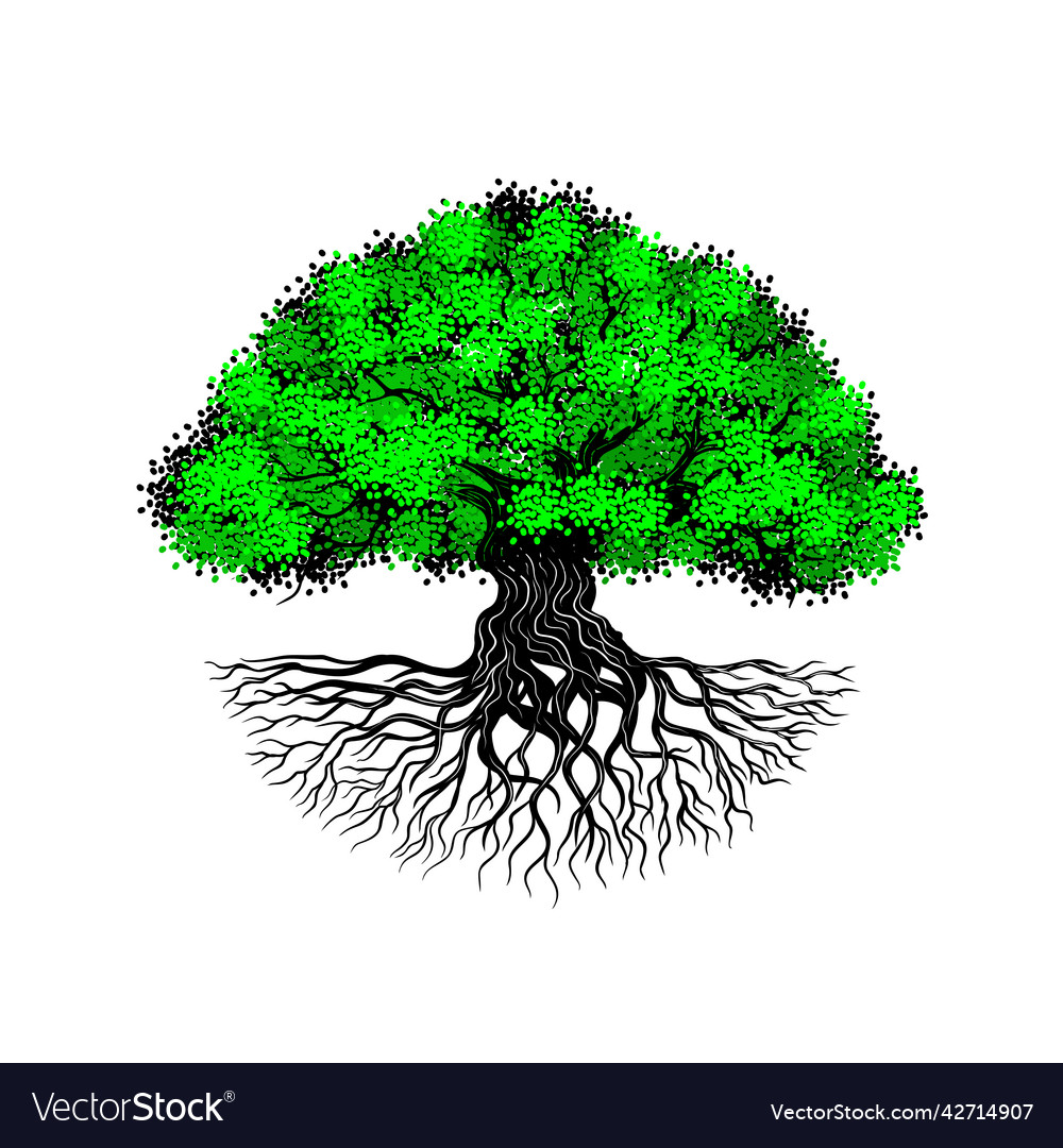 Ak tree logo Royalty Free Vector Image - VectorStock