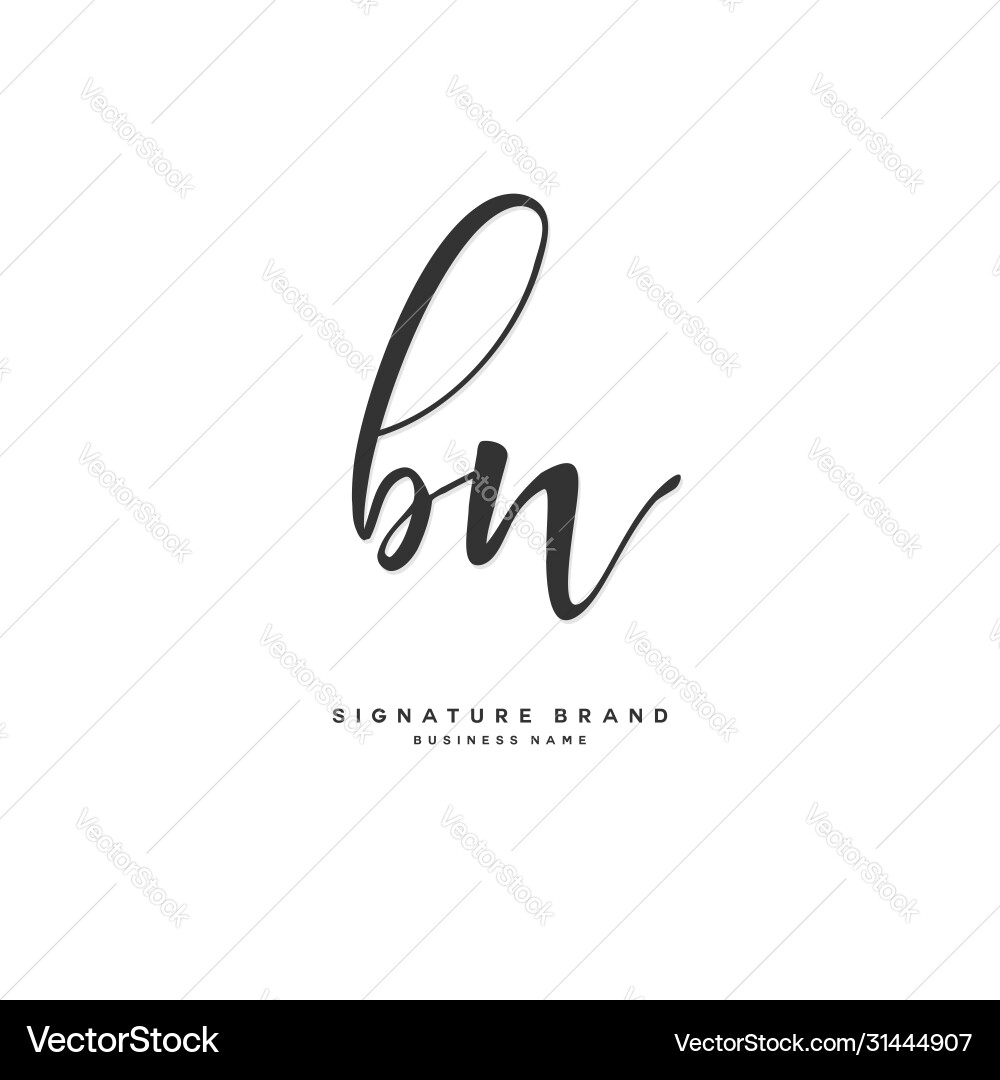 B n bn initial letter handwriting and signature Vector Image