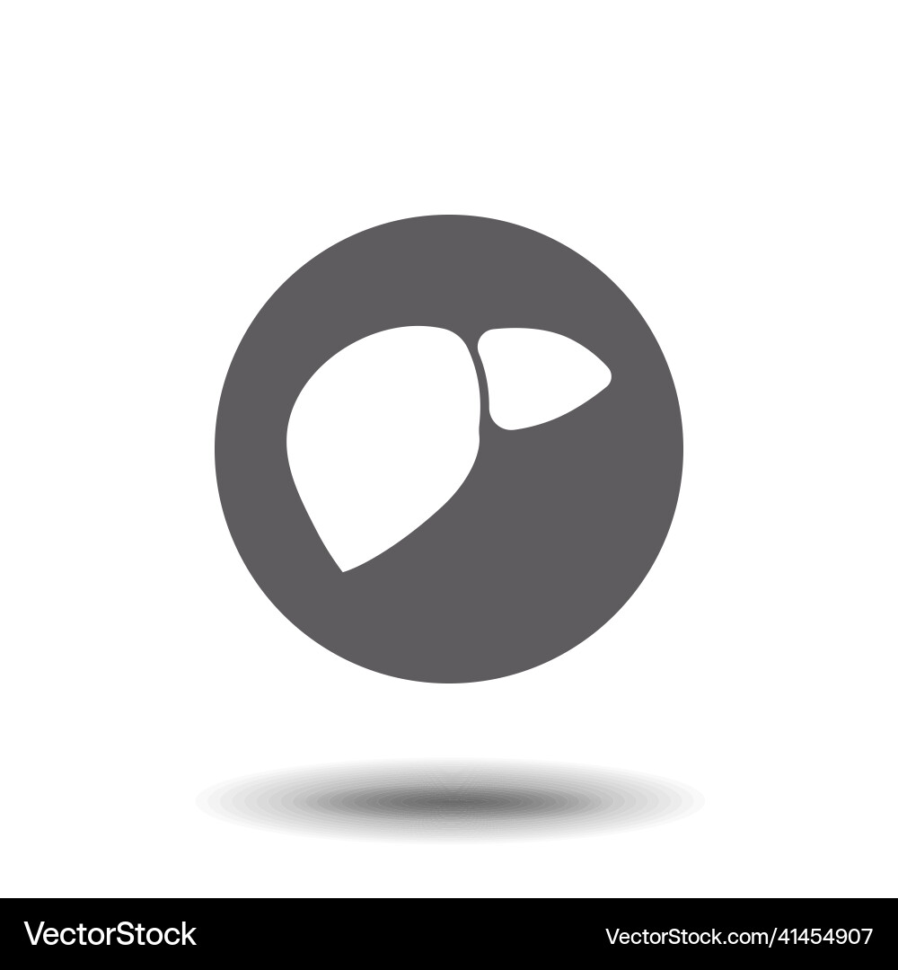 Liver icon in trendy flat style isolated on white Vector Image