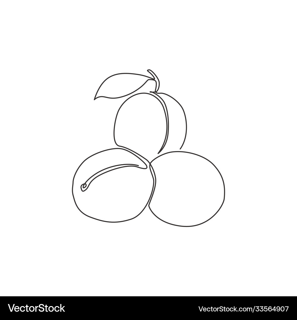 One single line drawing whole healthy organic Vector Image