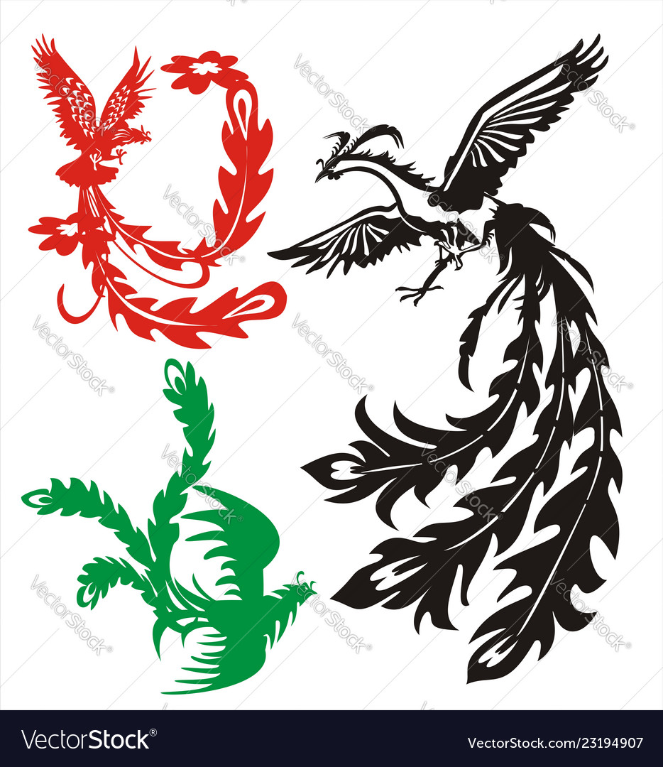 Phoenix combo Royalty Free Vector Image - VectorStock