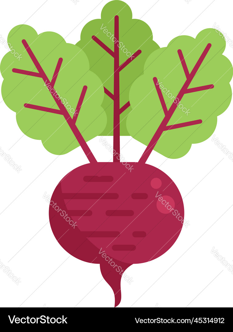 Farm beet icon flat eco agriculture Royalty Free Vector