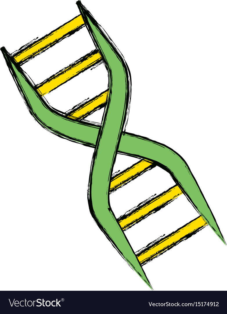 Genetic code Royalty Free Vector Image - VectorStock