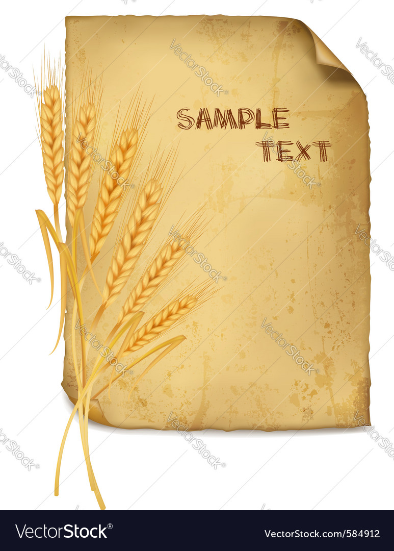 Wheat paper Royalty Free Vector Image - VectorStock