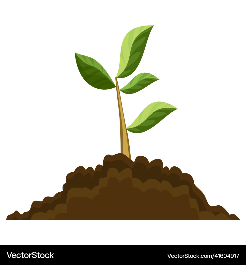 Stage of tree growth small with green Royalty Free Vector