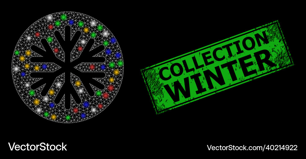 Distress collection winter stamp with net frost Vector Image