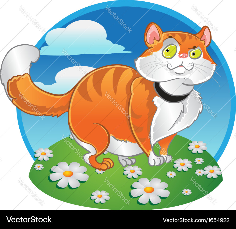 Orange fat cat on the color background Royalty Free Vector