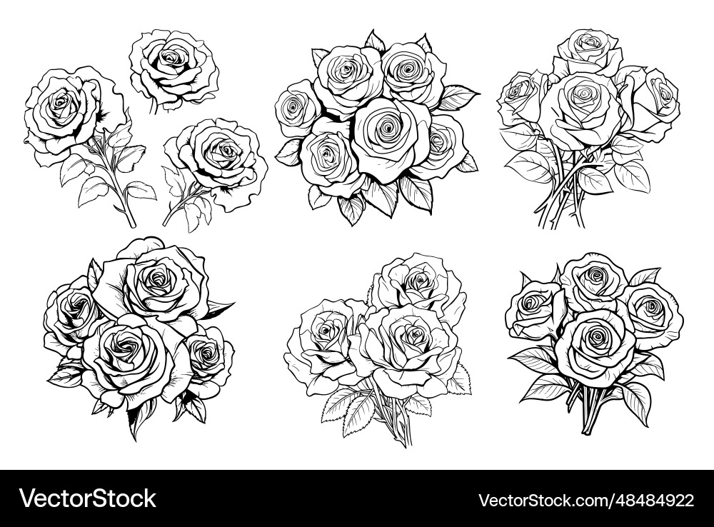Rose bouquets hand drawn sketch flowers Royalty Free Vector