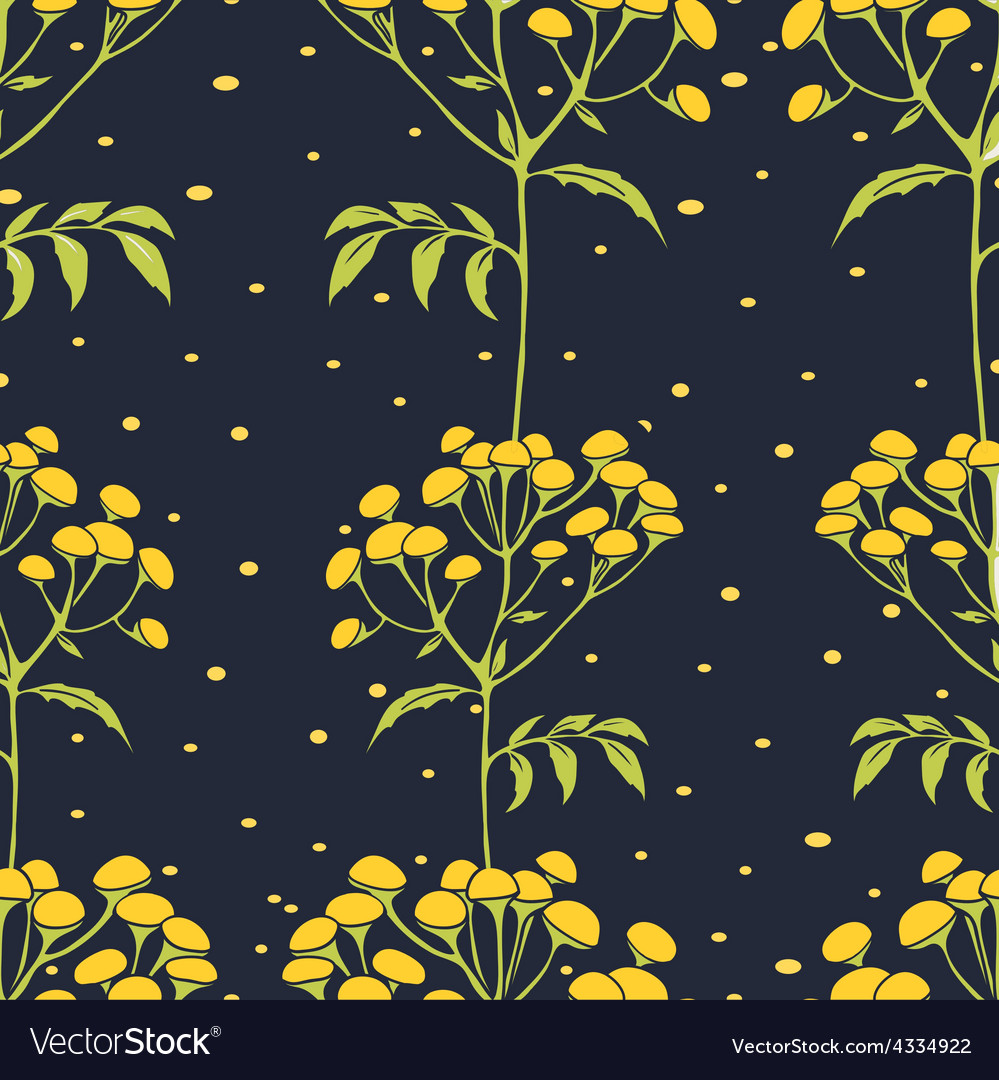 Tansy flowers pattern Royalty Free Vector Image