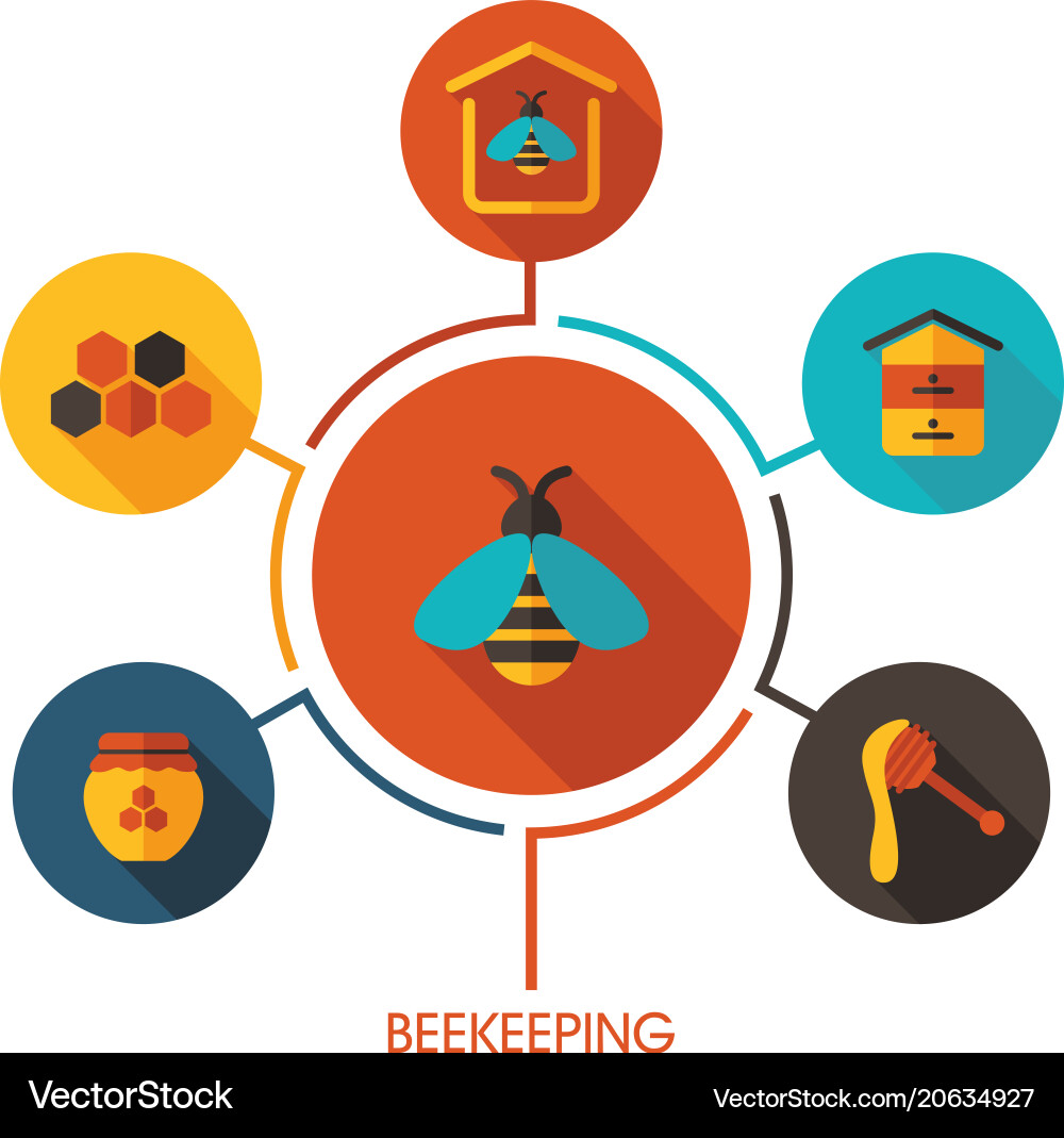 Beekeeping icon and agriculture infographics Vector Image