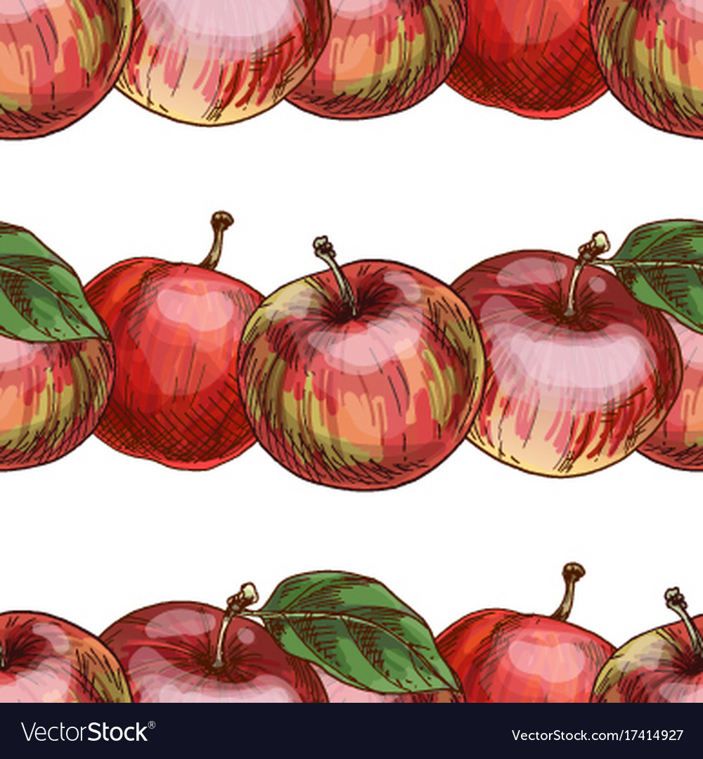 Hand drawn close-up red apple pattern Royalty Free Vector