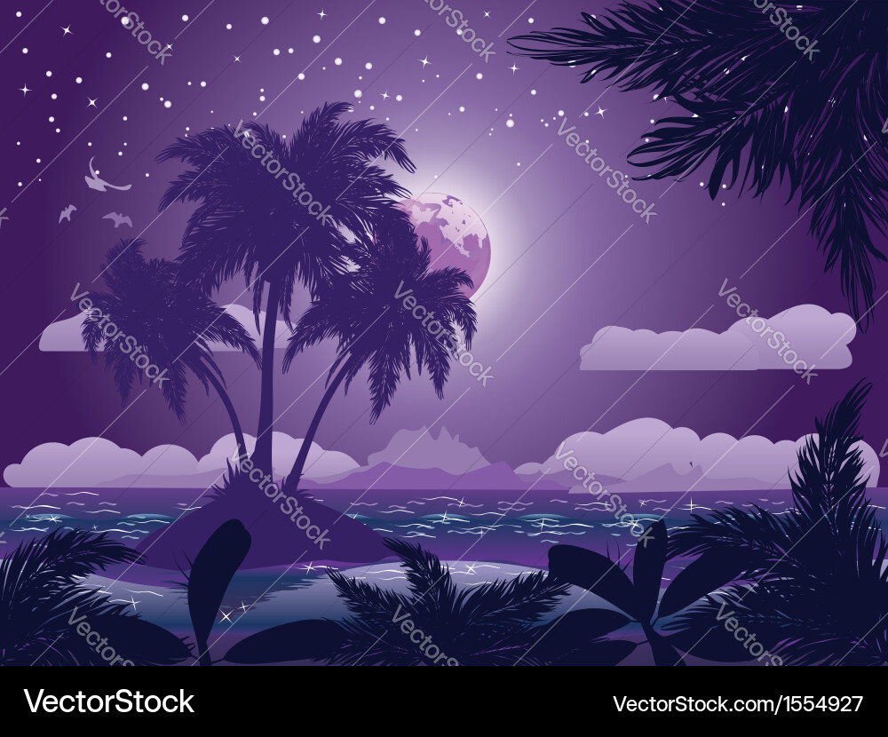 Beautiful Islands At Night