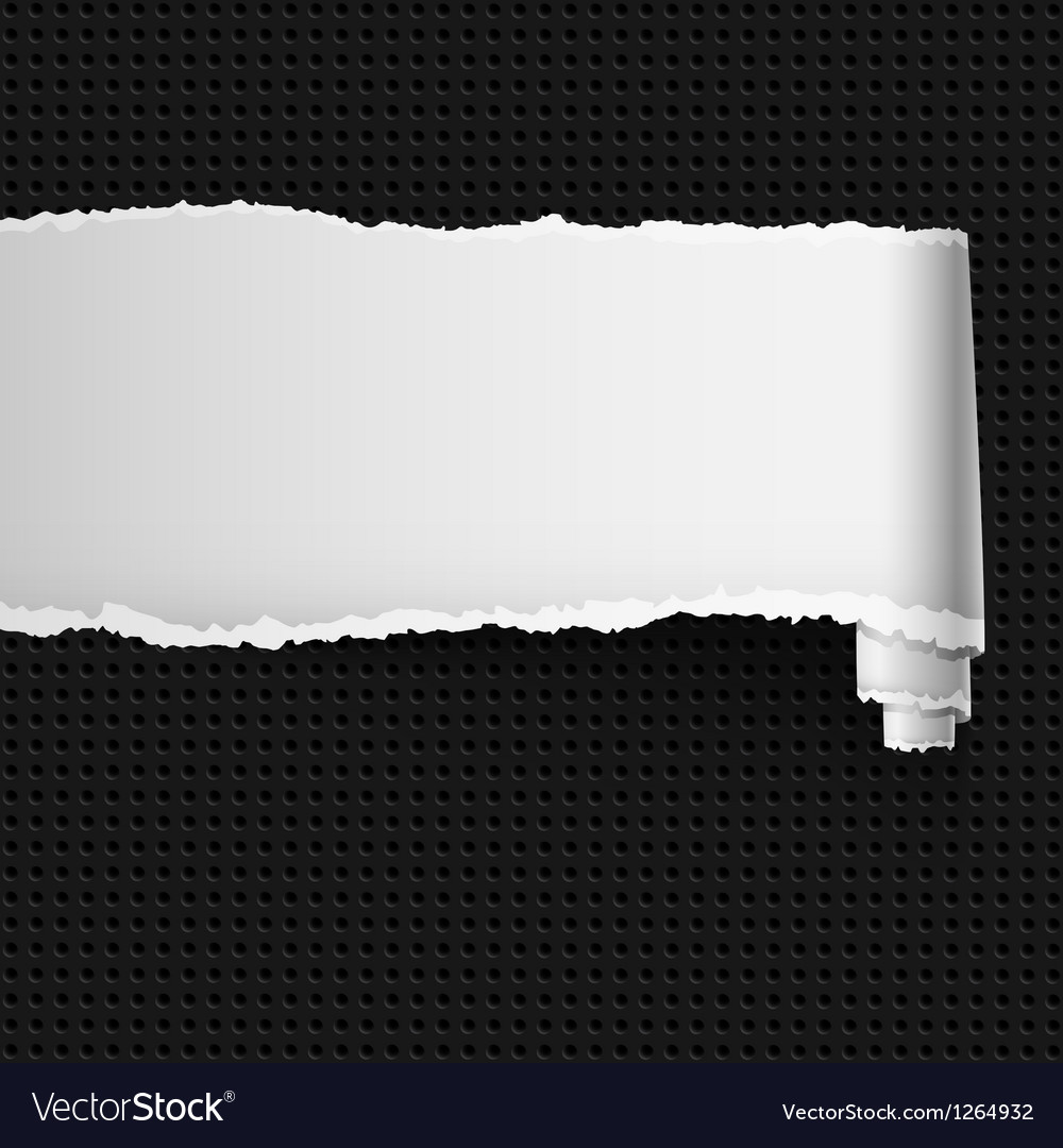 Curl of white paper Royalty Free Vector Image - VectorStock