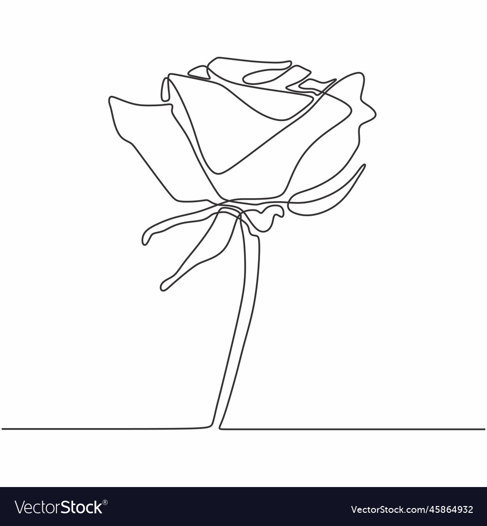 Flower continuous one line drawing rose sketch Vector Image