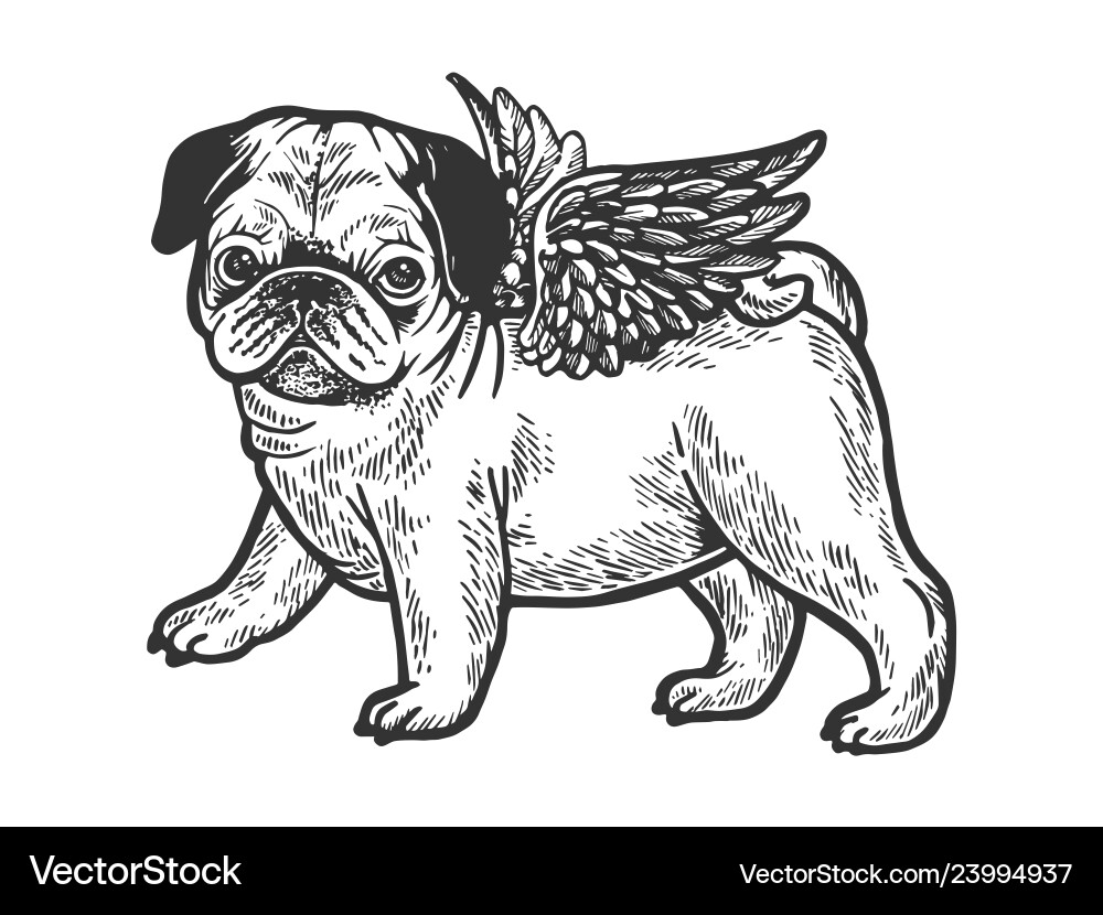 Angel flying pug puppy engraving Royalty Free Vector Image