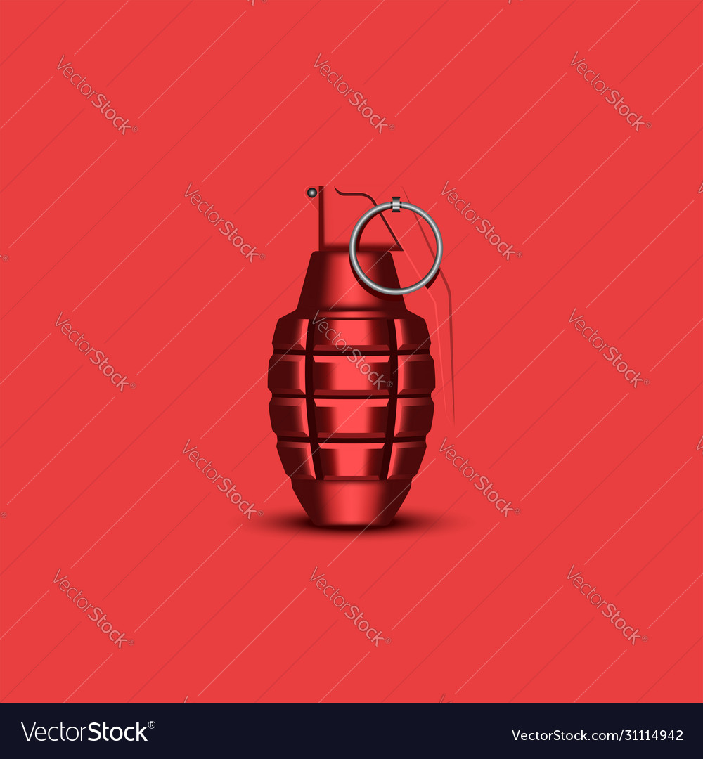 Realistic hand grenade 3d military isolated Vector Image