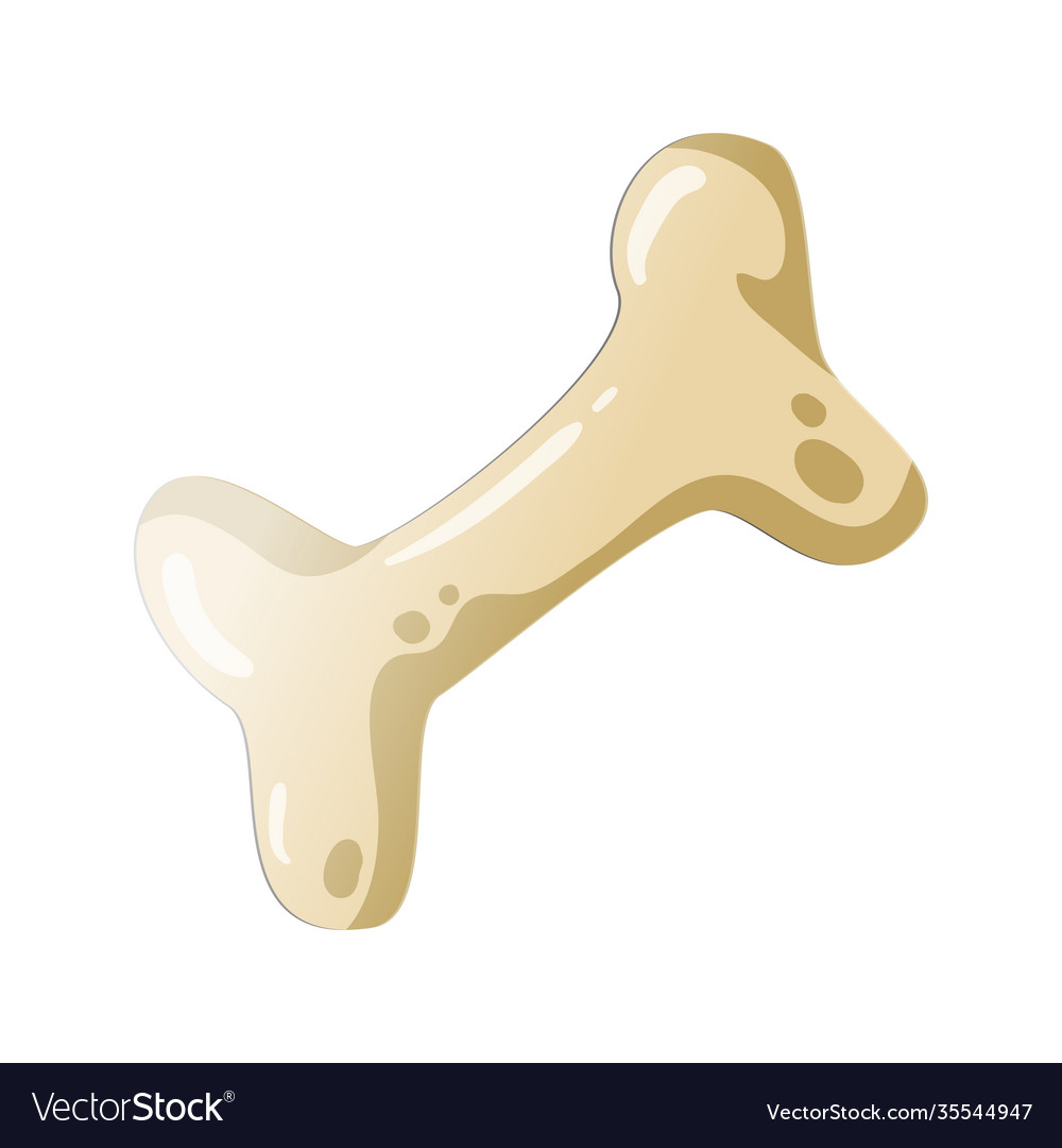 Bone Royalty Free Vector Image - VectorStock