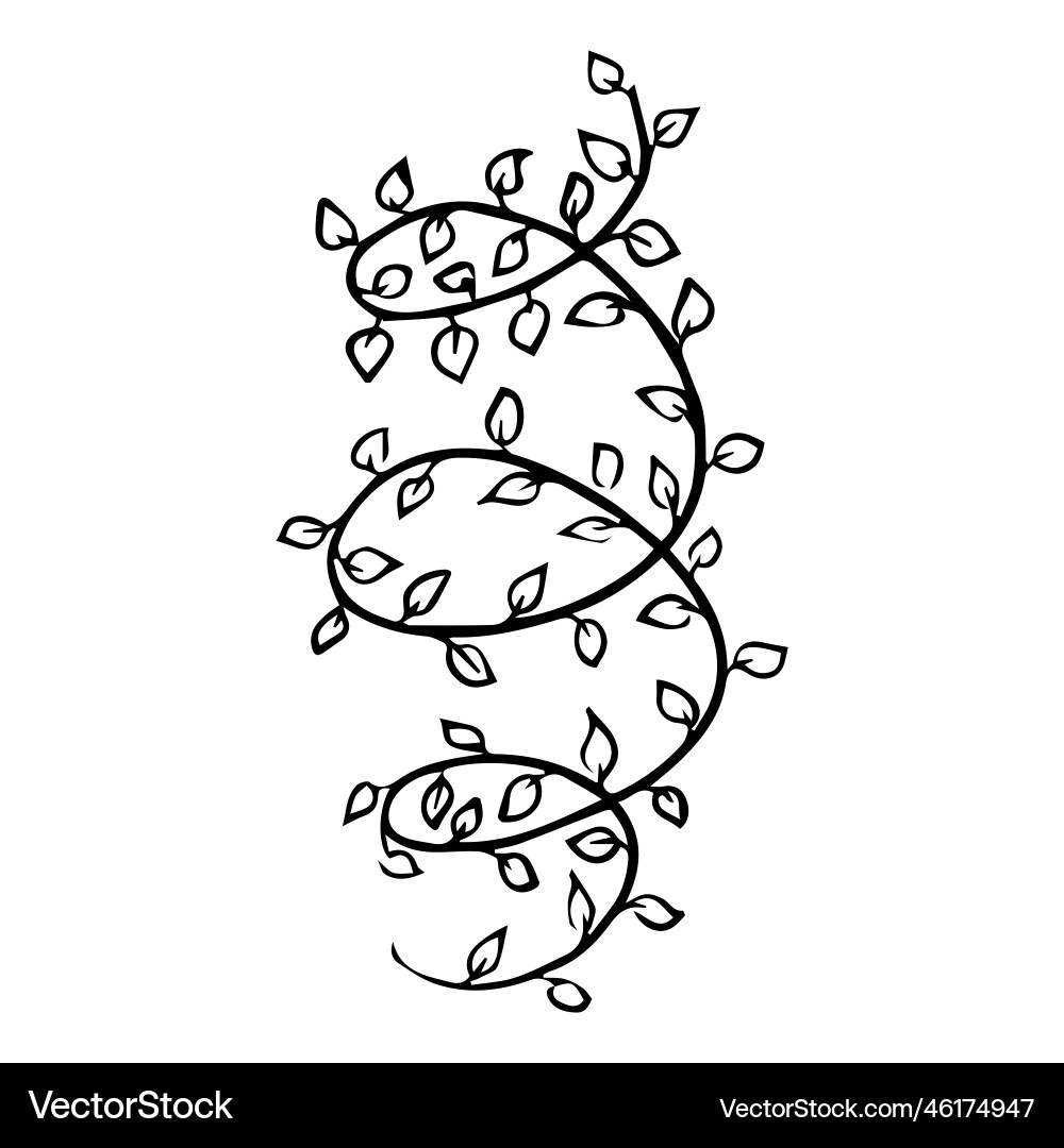 Branch border black contour wreath or border Vector Image