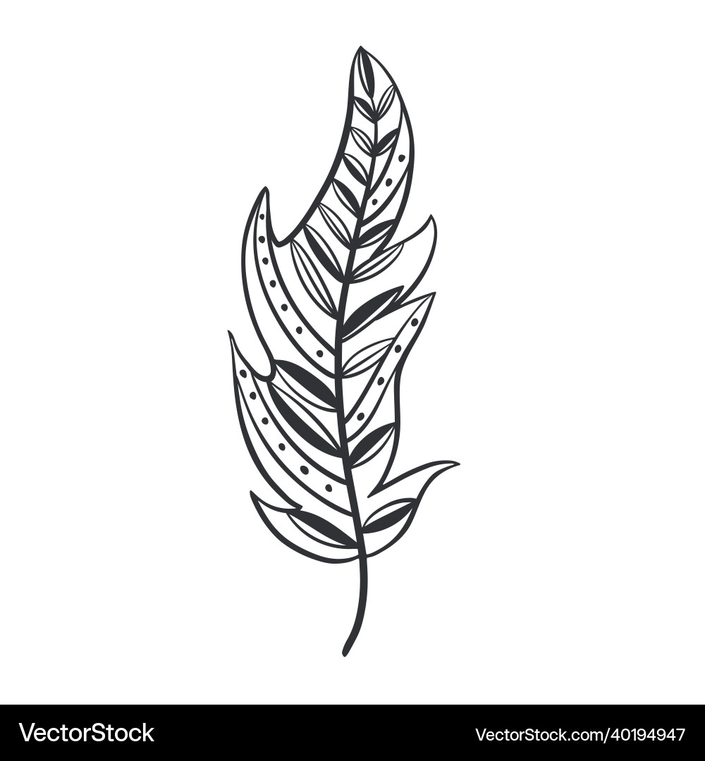 Isolated bird feather decorated with patterns Vector Image