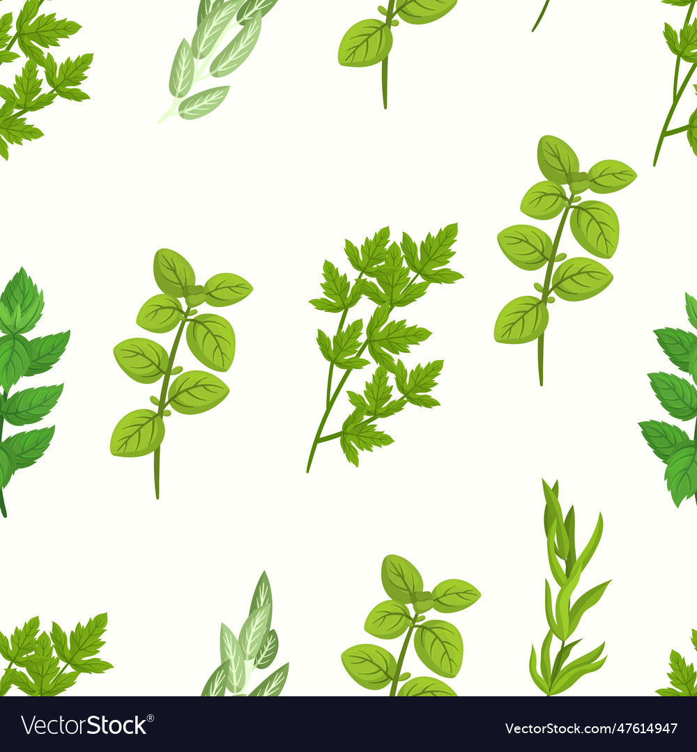 Seamless pattern with culinary herbs consisting Vector Image