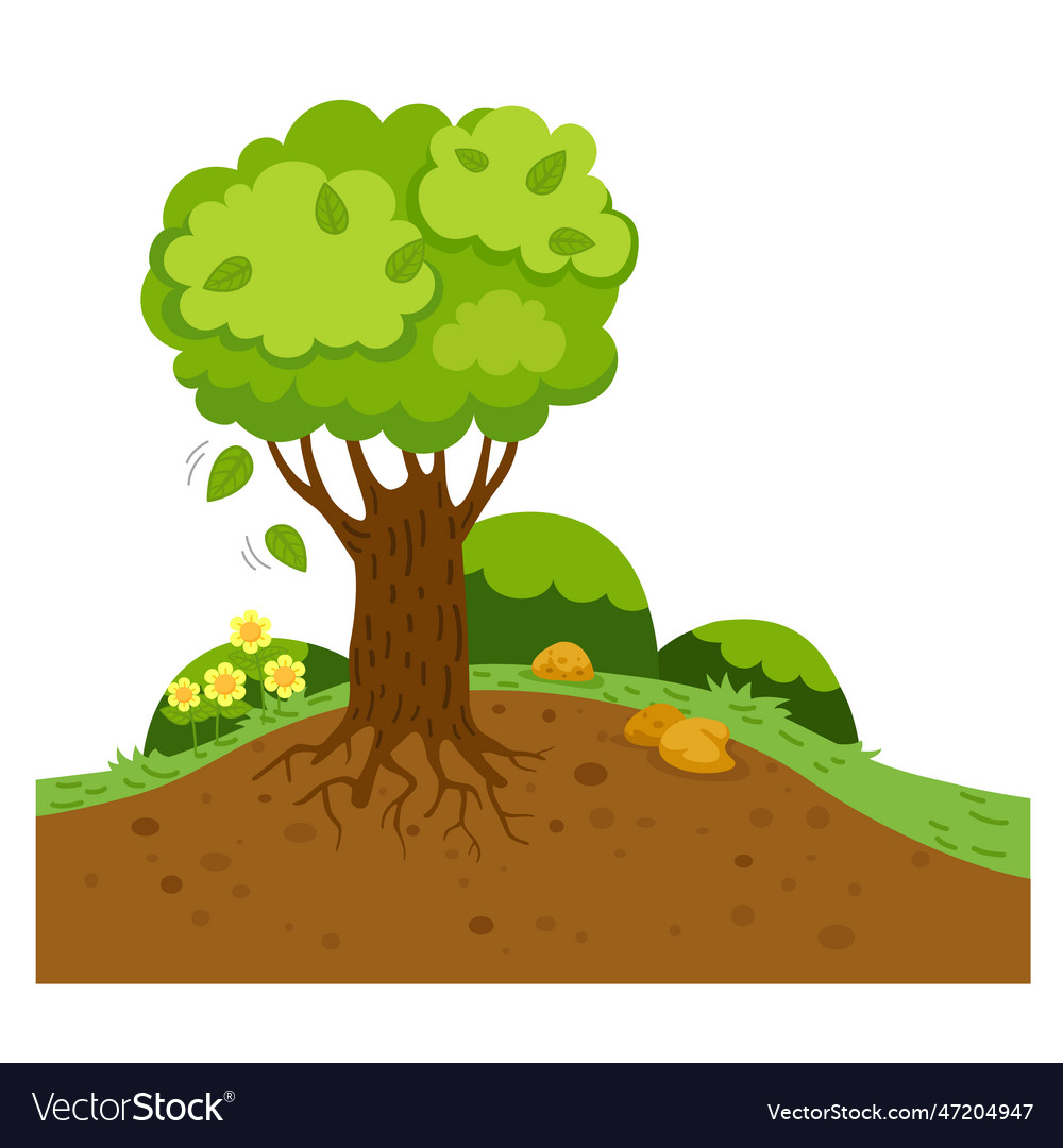 Tree on white background Royalty Free Vector Image