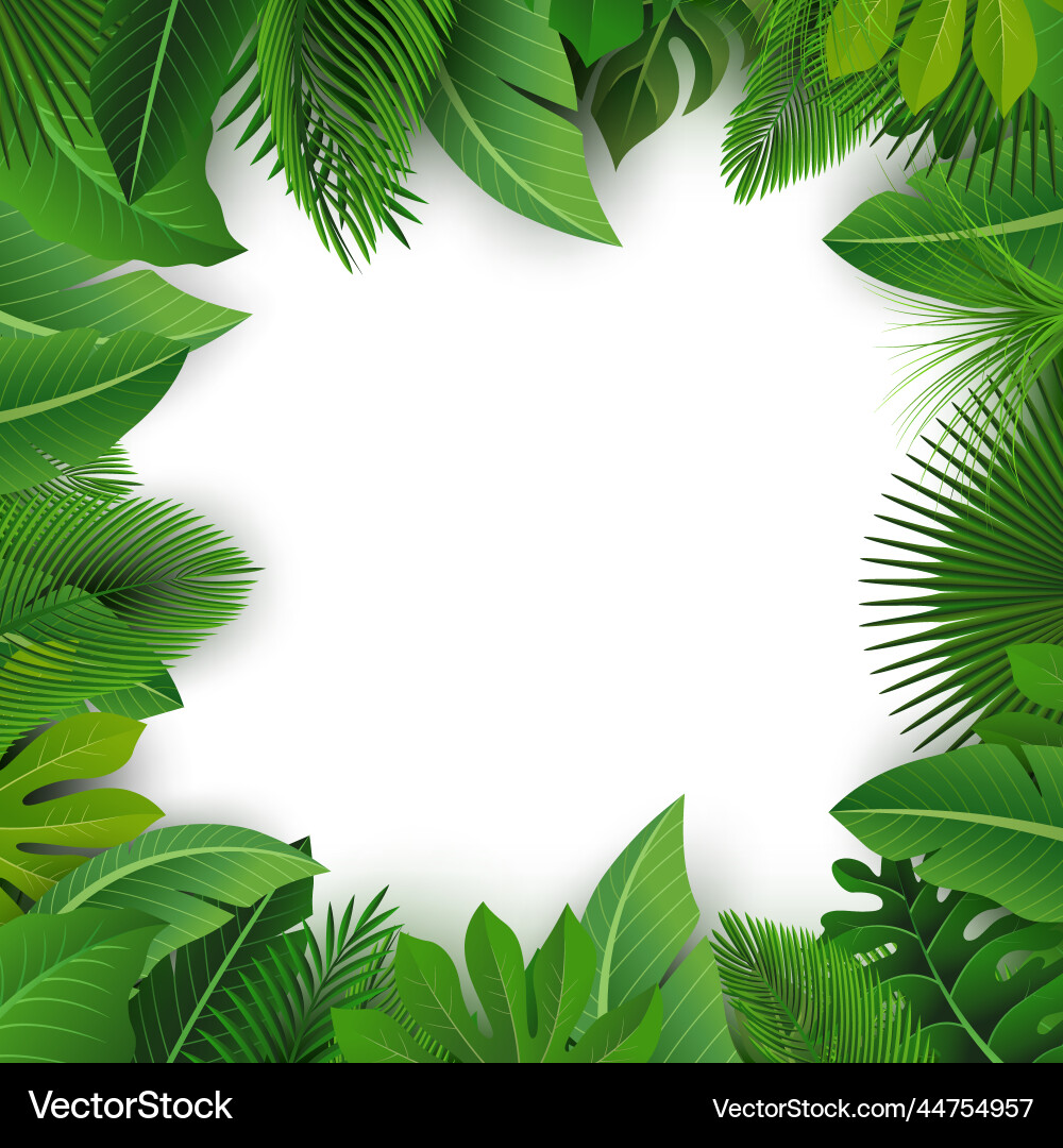 Background with text space of tropical leaves Vector Image