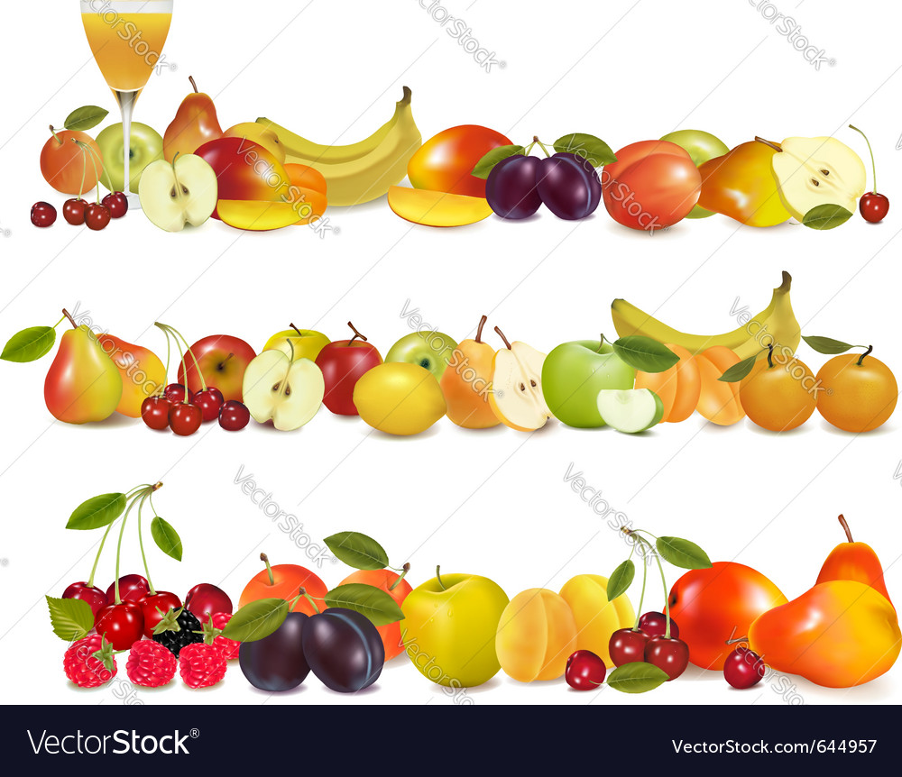 Fruit Royalty Free Vector Image - VectorStock
