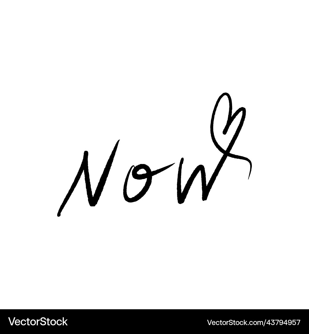 Now lettering concept sign on white Royalty Free Vector