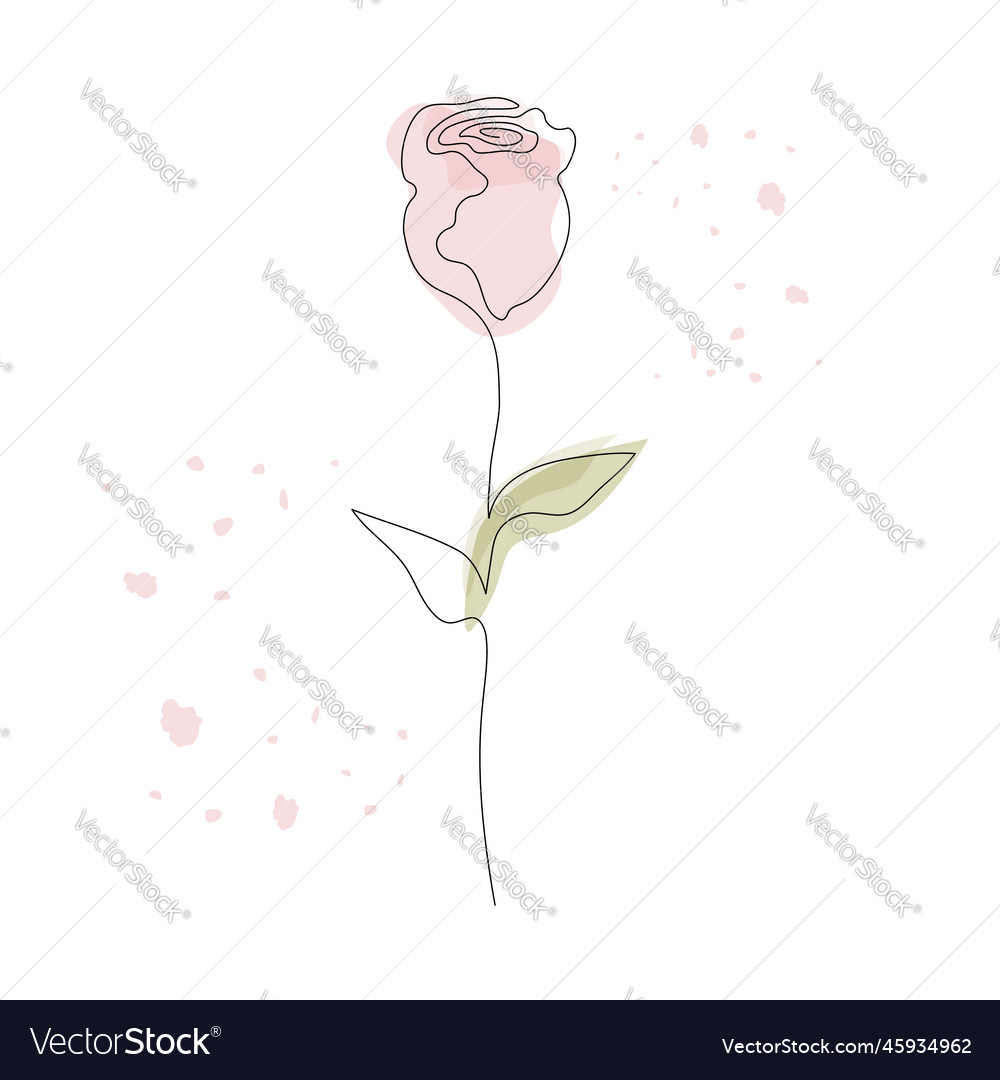 Hand drawn rose flower continuous one line art Vector Image
