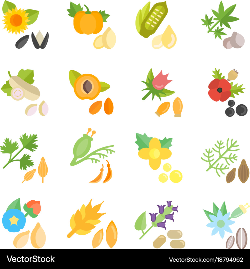 Set flat icons of seeds Royalty Free Vector Image