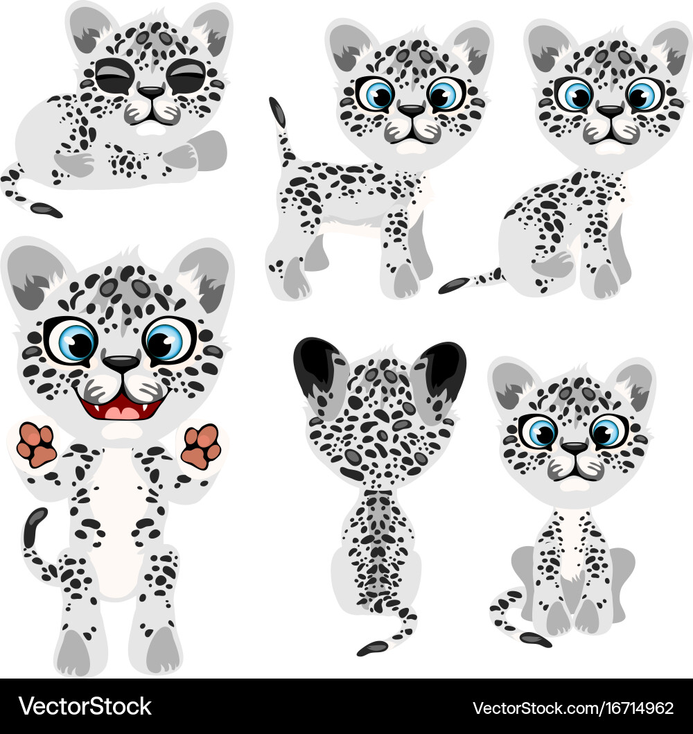 Spotted gray tiger cub in different poses and mood