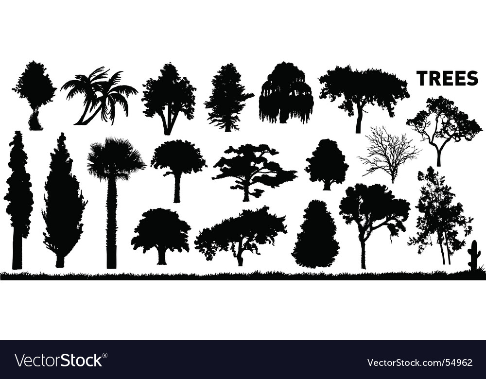 Tree Royalty Free Vector Image - VectorStock