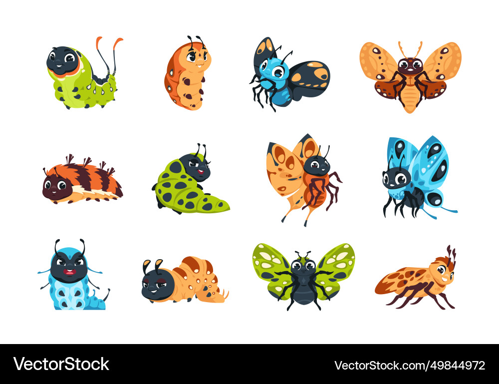 Caterpillar and butterfly cartoon bugs character Vector Image